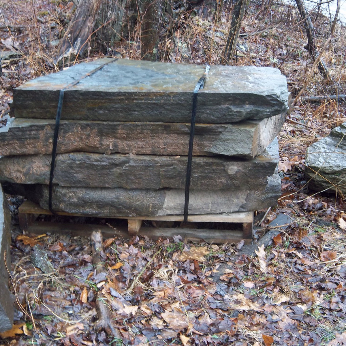 Steps - Natural - Montrose - Pennsylvania – StonesDirect.com